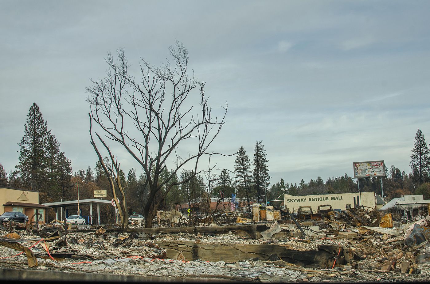 First Two Rebuilding Permits Issued For Homes In Fire-Ravaged Paradise