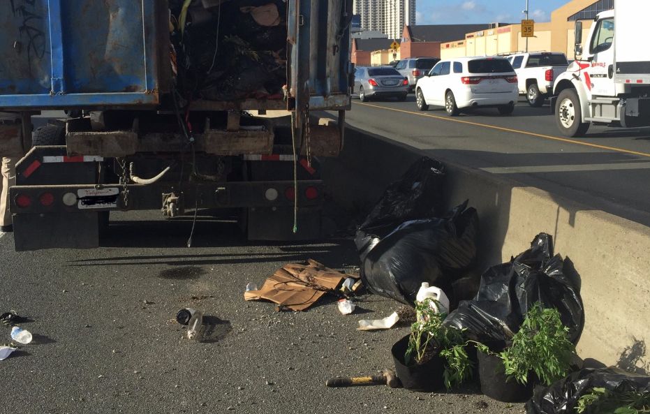 Truck Driver Leaves Trail Of Marijuana Along Oakland Freeway