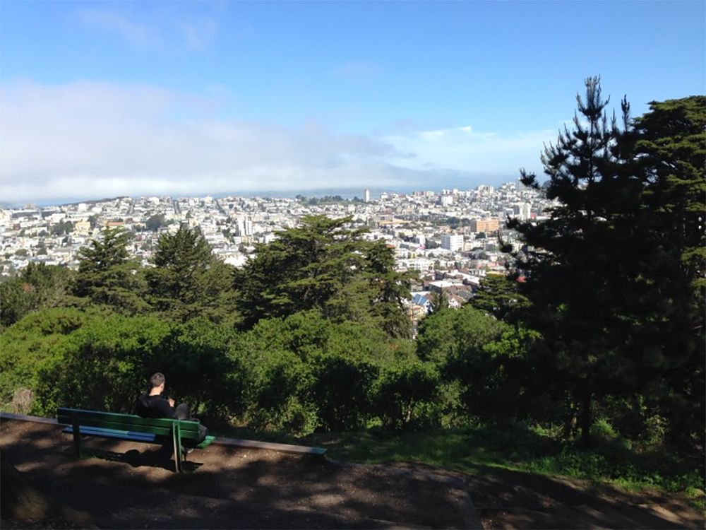 Suspected Arsonist Arrested In String Of Buena Vista Park Fires