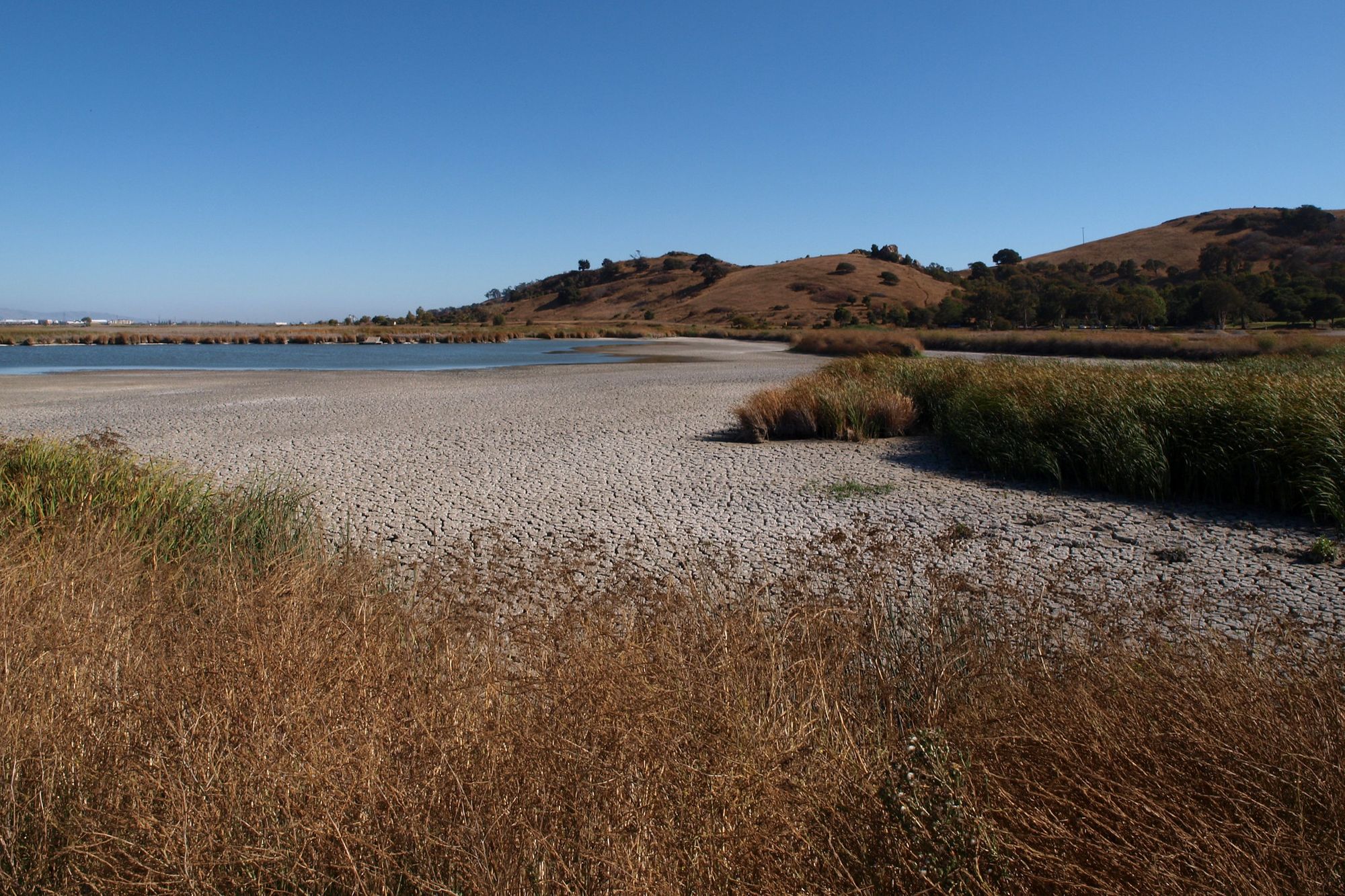 Report: California May Be In For A Dry Winter