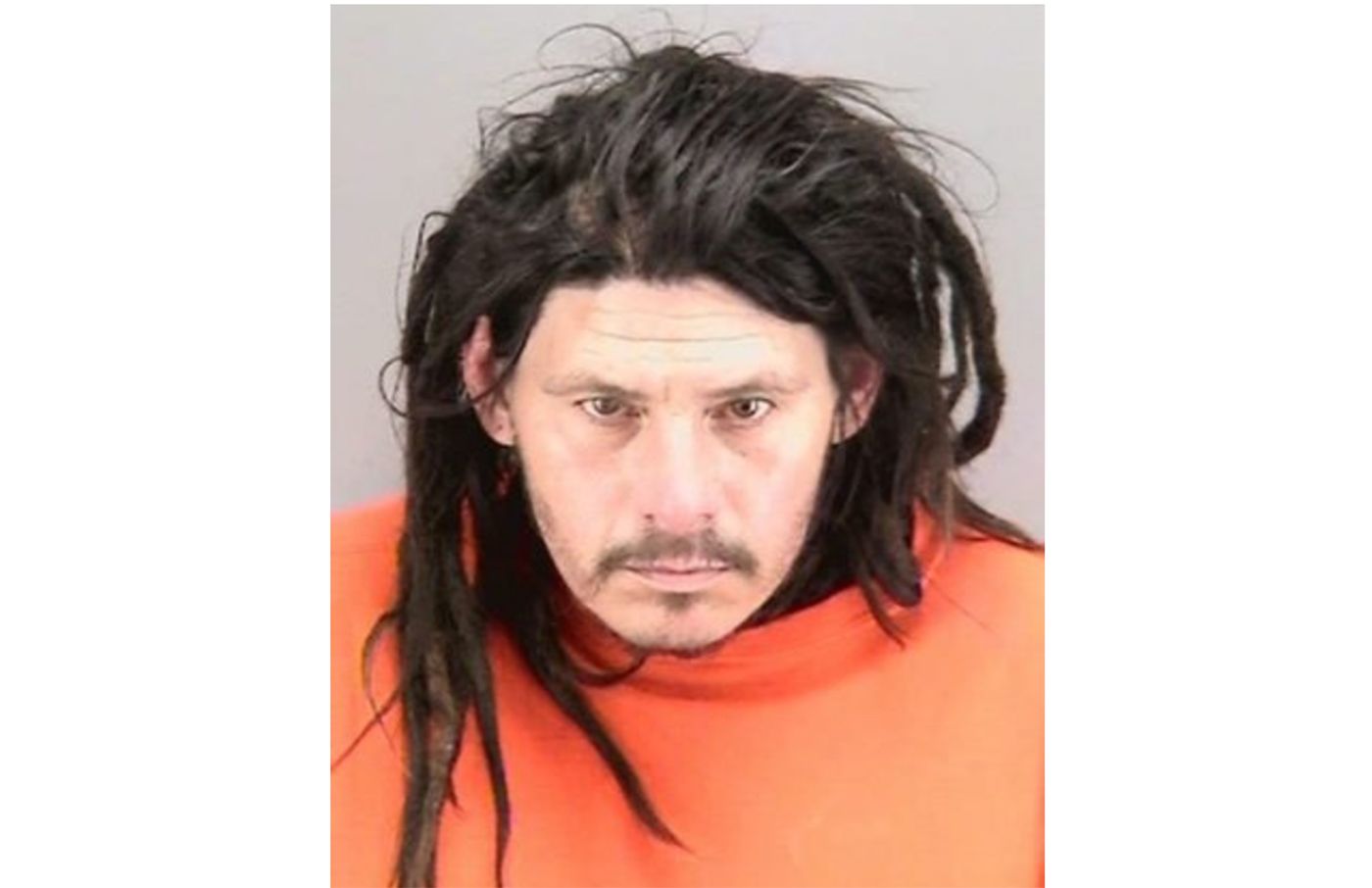 Man With Bad Dreadlocks Arrested For 'Prolific' String of Burglaries in SF