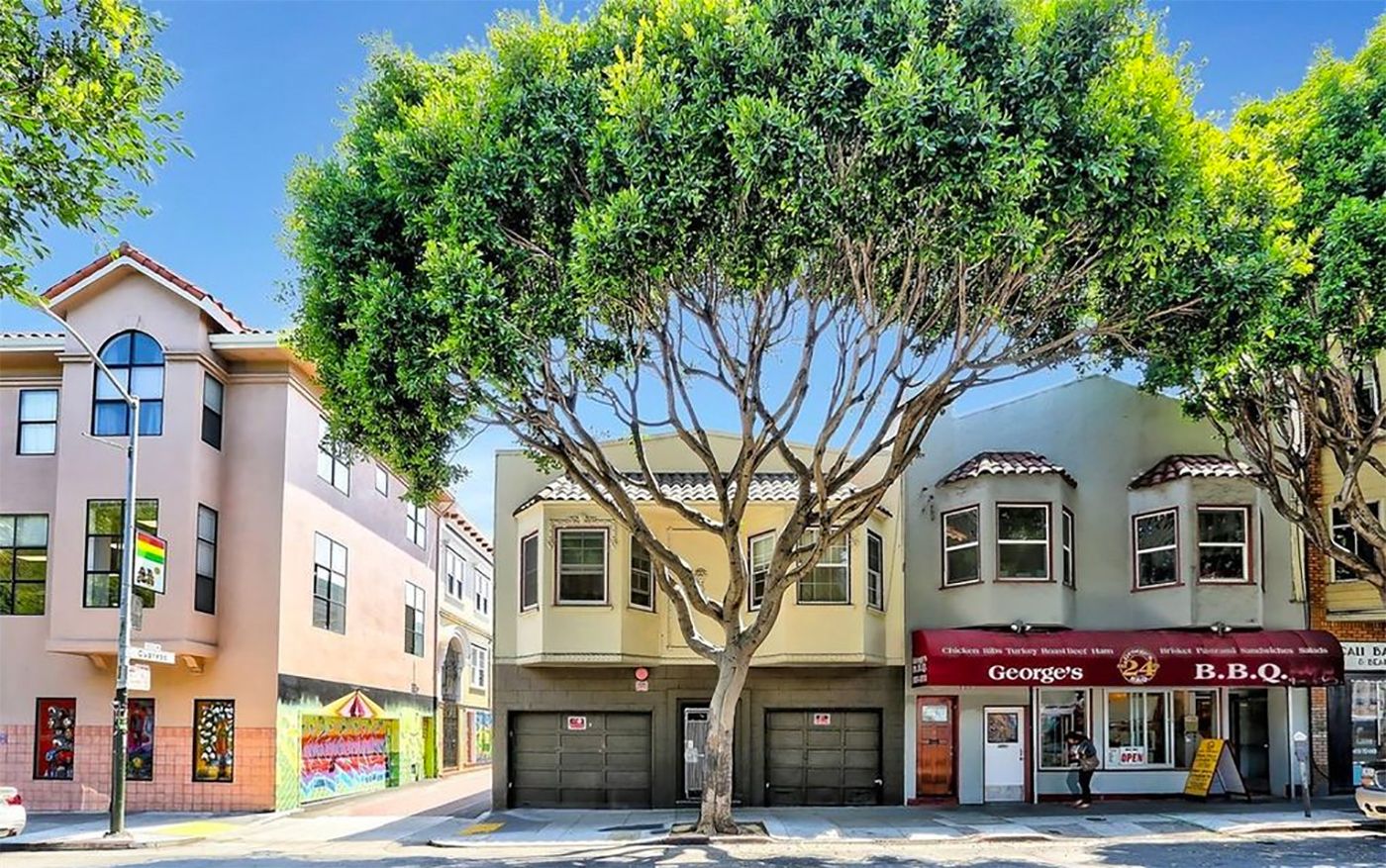 24th Street's Ficus Trees Get Two-Month Reprieve As Neighbors Continue ...