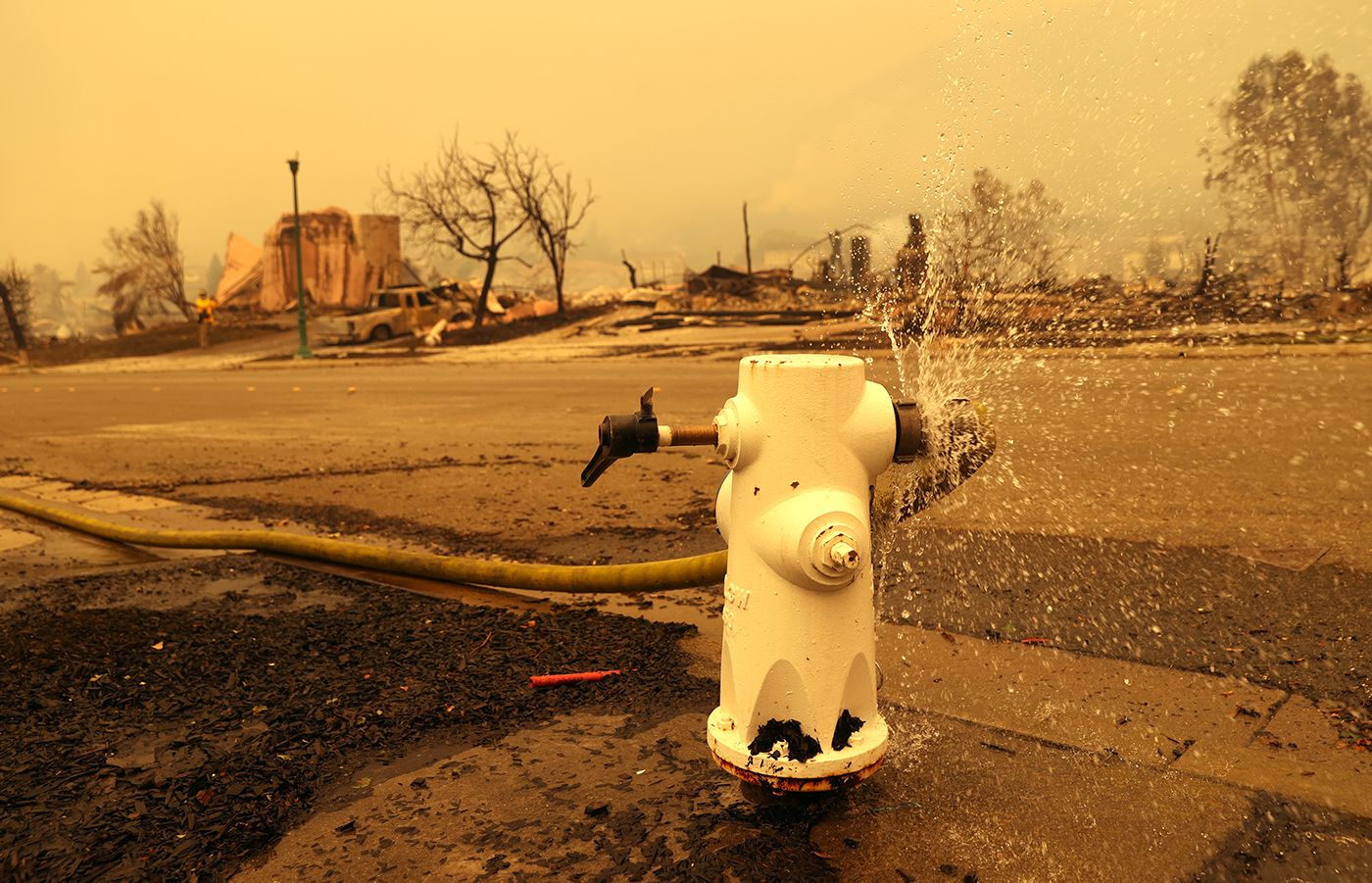 Day Around the Bay: Glass Fire Grows to 42,500 Acres, Some Evacuation ...