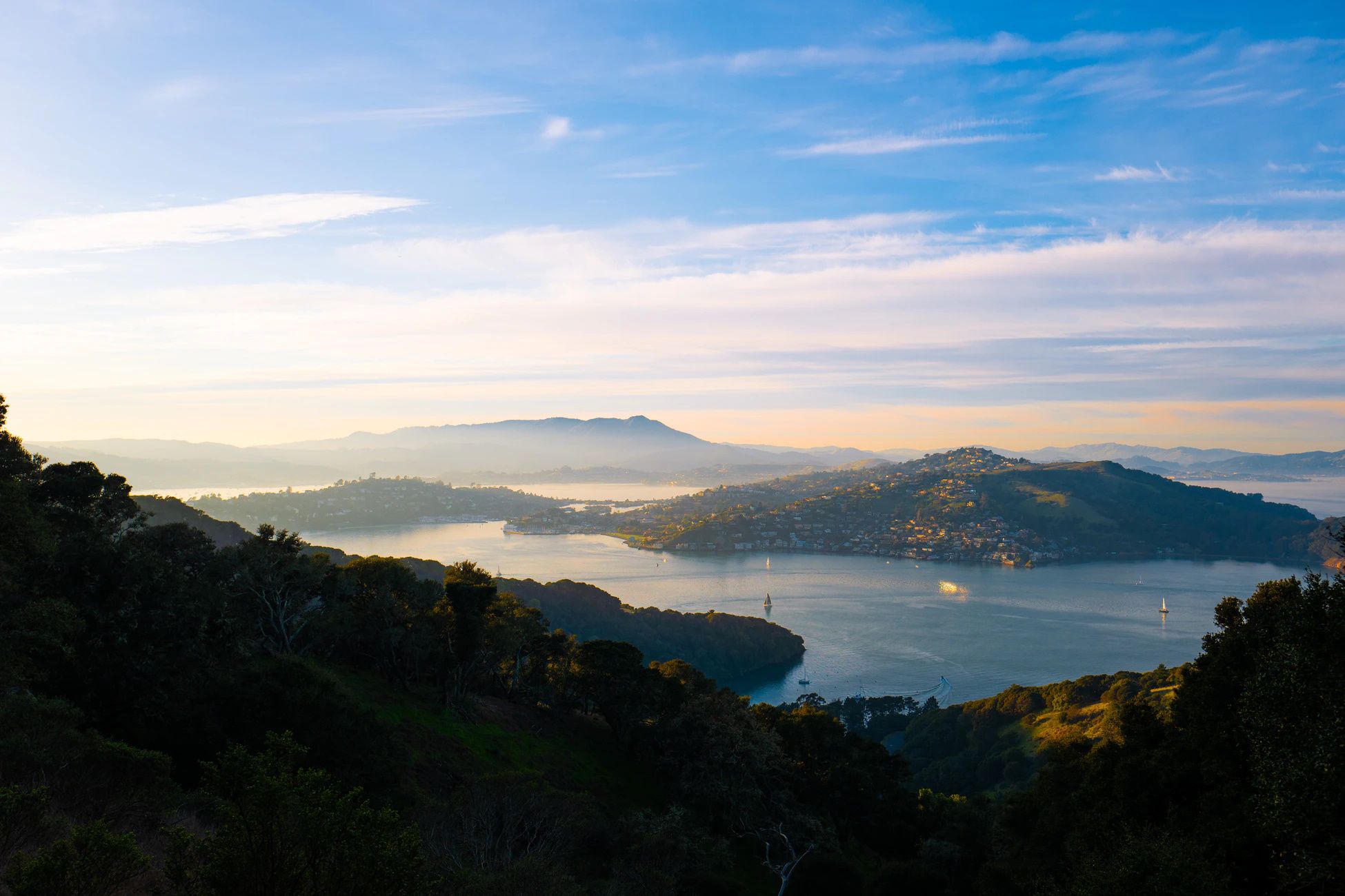 In Terms Of Real Estate Values, One Marin County Zip Code Leapfrogged ...