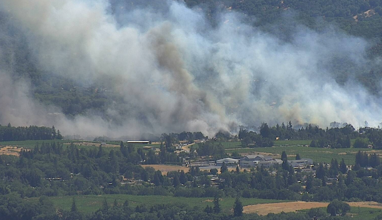 Cannabis Company Caused Mendocino Wildfire That Burned 80 Acres
