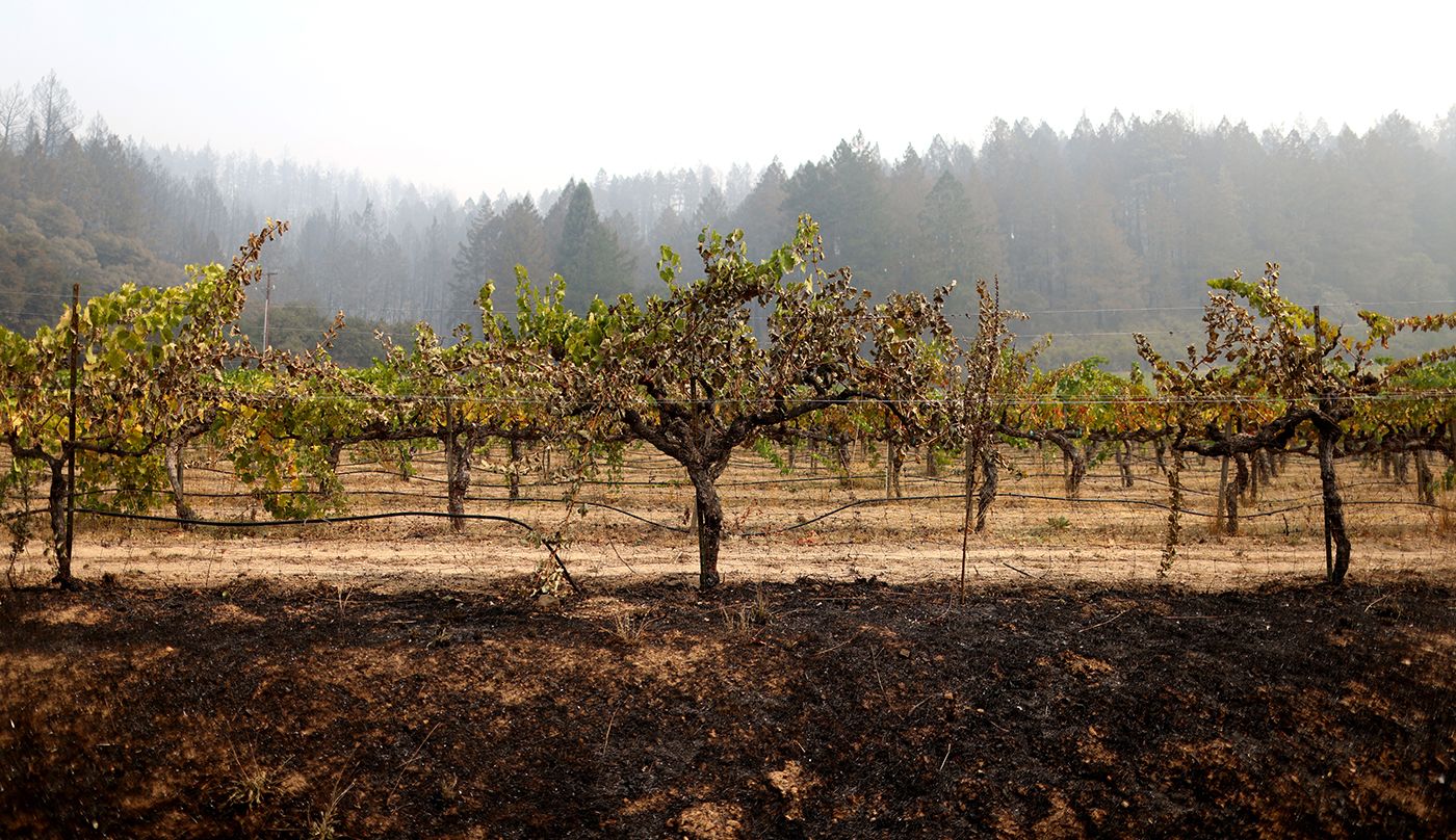 Cal Fire Investigation Comes Up Short on Evidence, Can't Pinpoint Cause ...