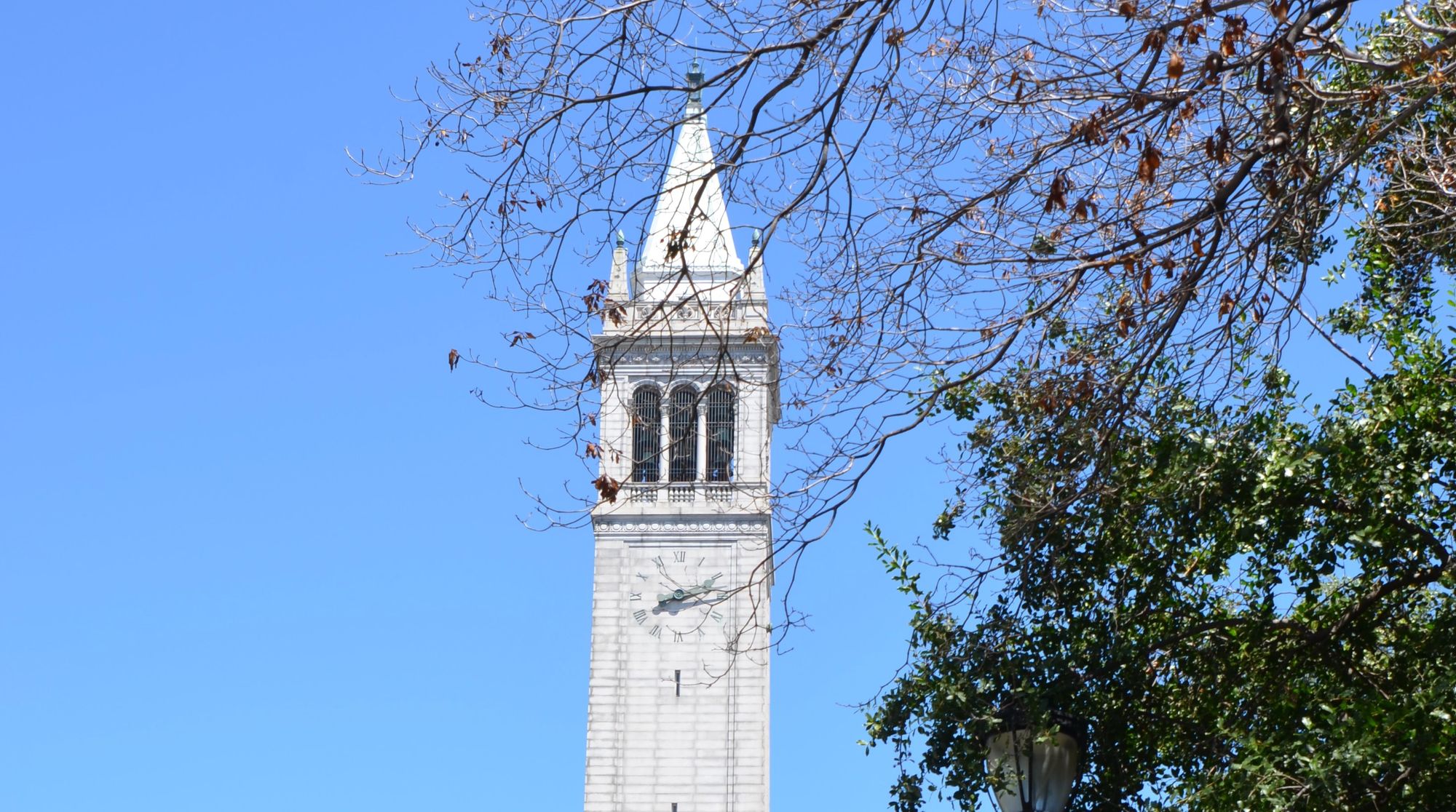 Scientist Resigns from UC Berkeley Center Amidst 'Cancel Culture' Debate