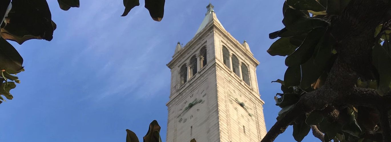 19+ Best Berkeley Cannabis Delivery Companies To Get Marijuana To Your ...