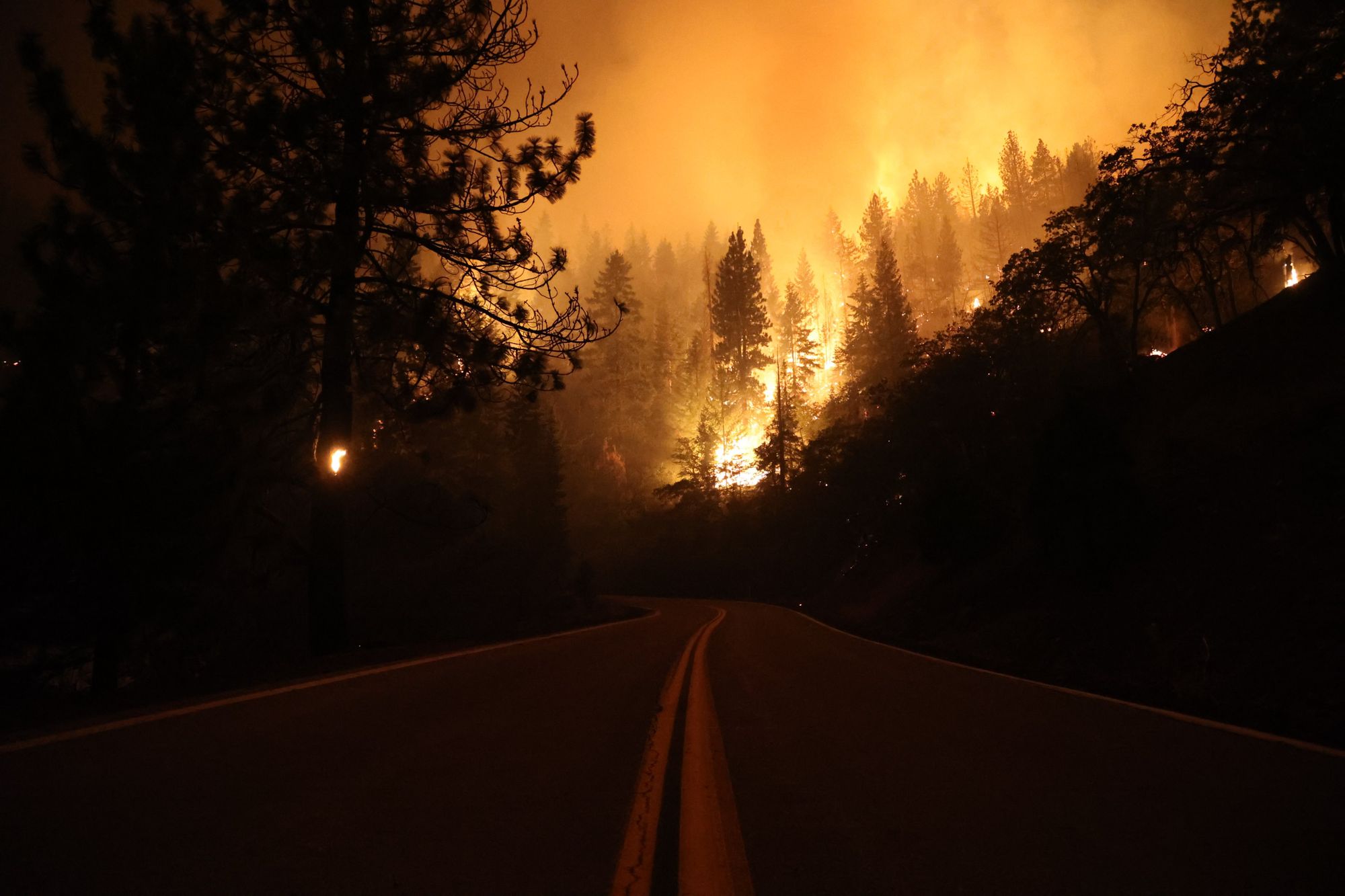 Two Large NorCal Wildfires Continue Growing, Force Thousands to Evacuate