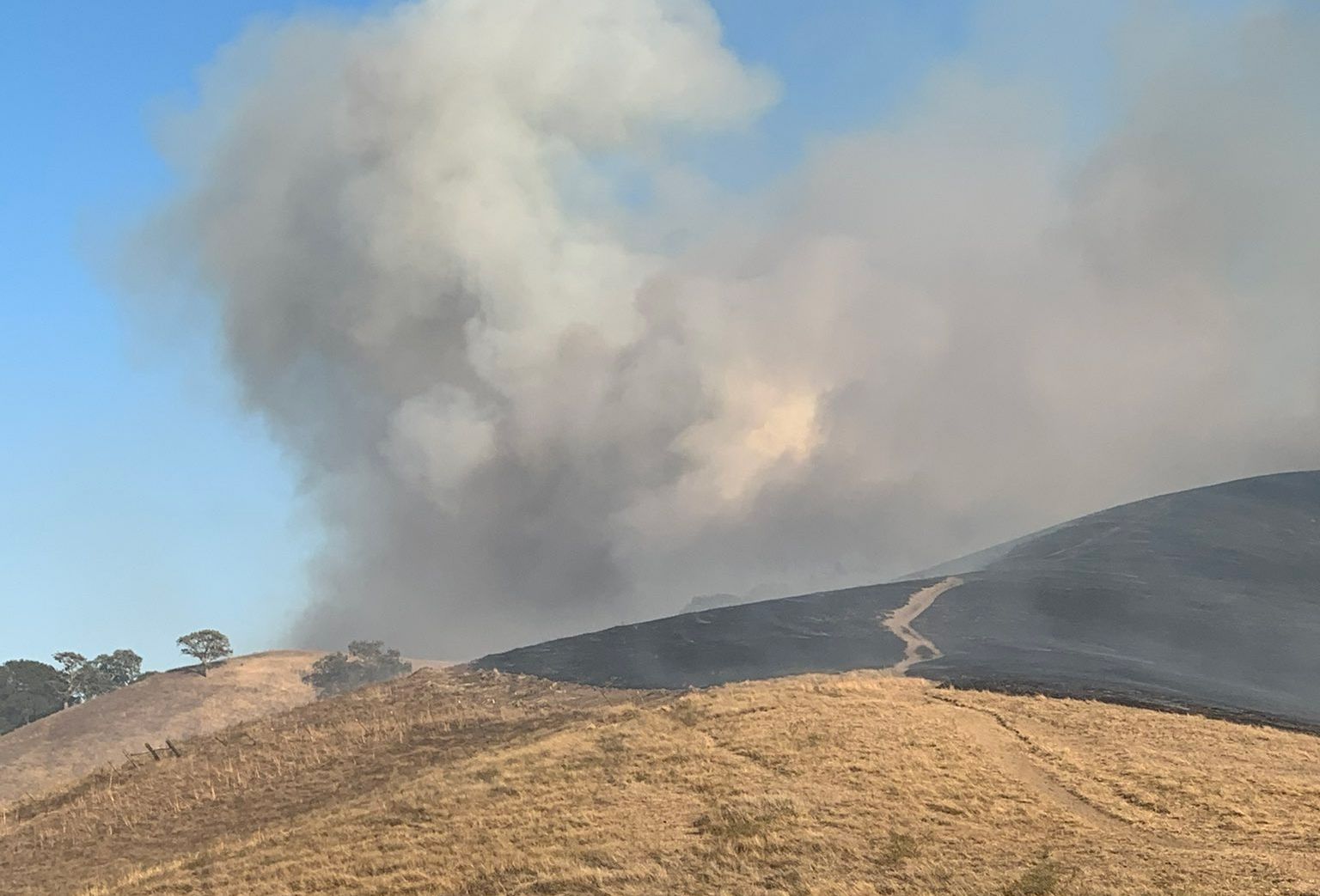 Tuesday Morning Topline: Brush Fire Near Martinez Prompts Brief ...