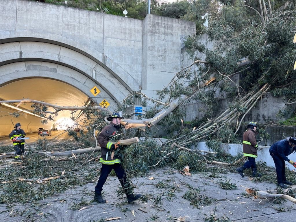 Nearly 70,000 in Bay Area Without Power As Winds Top 60mph, Fallen ...