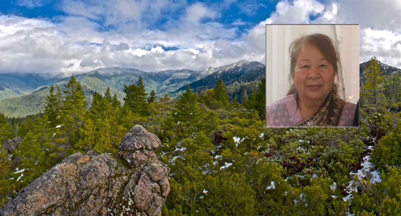 71-Year-Old Woman Who Went Missing While Mushroom-Hunting In NorCal ...