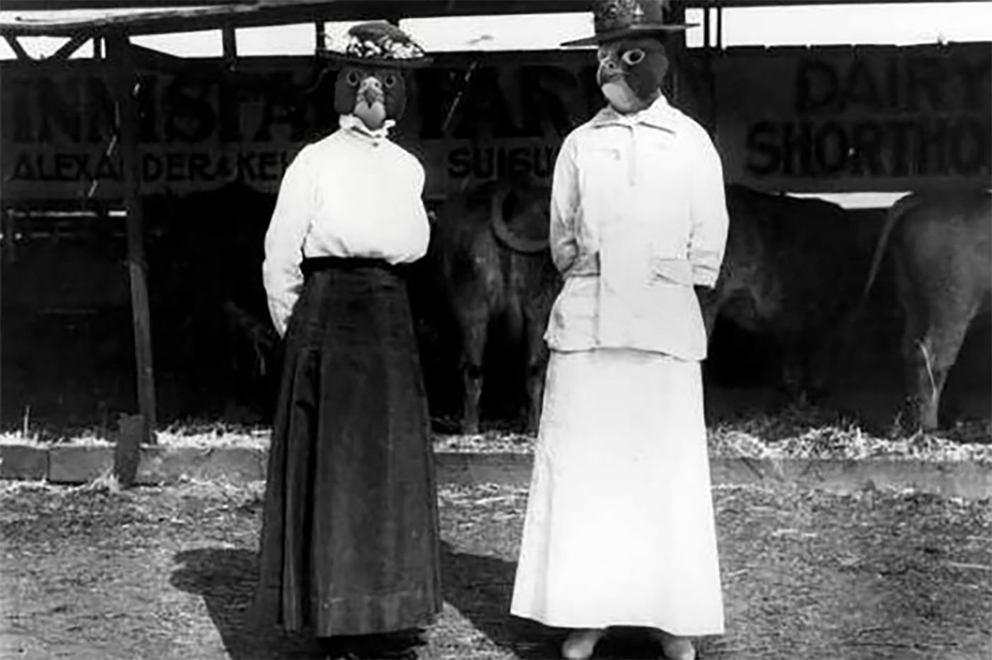 Day Around the Bay: New Berkeley Falcon Named For Real-Life Partner Of ...