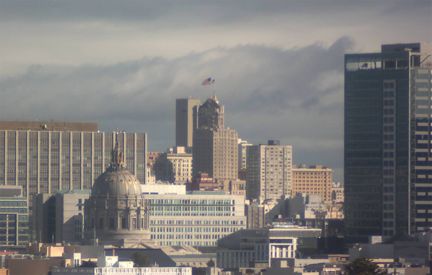 Monday Morning Headlines: Boy Scout Den Mother Killed By Falling Tree