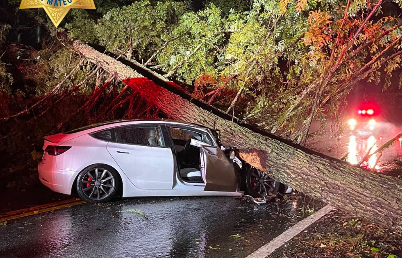 Friday Morning Constitutional: Tree Crushes Tesla On San Mateo County Road