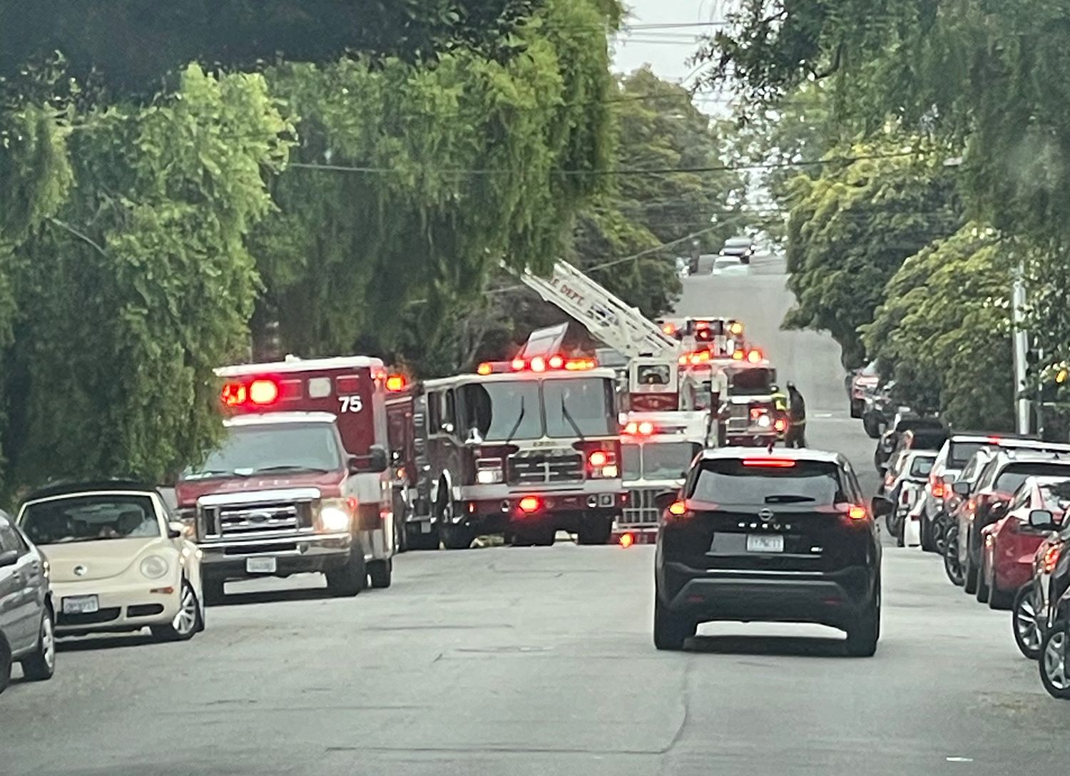 Day Around the Bay: SF DA Not Filing Charges In Shooting By Powell BART