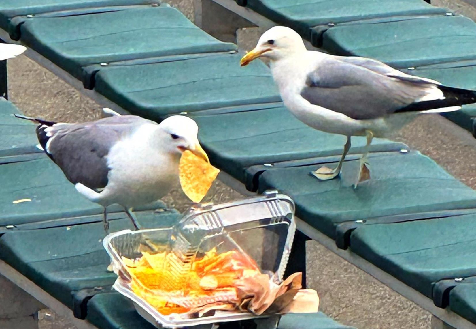 Thursday Morning What's Up: The Heat Dome Is Here