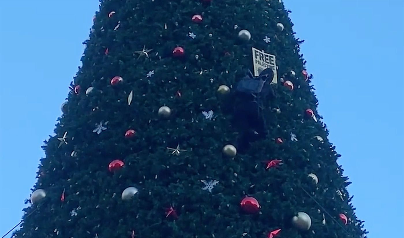 Pro-Palestine Protester Climbs Union Square Christmas Tree In SF