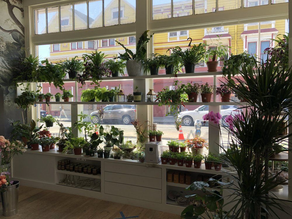 Scandal-Plagued SFPD Partner Nonprofit SF SAFE Now Accused of Stiffing ...