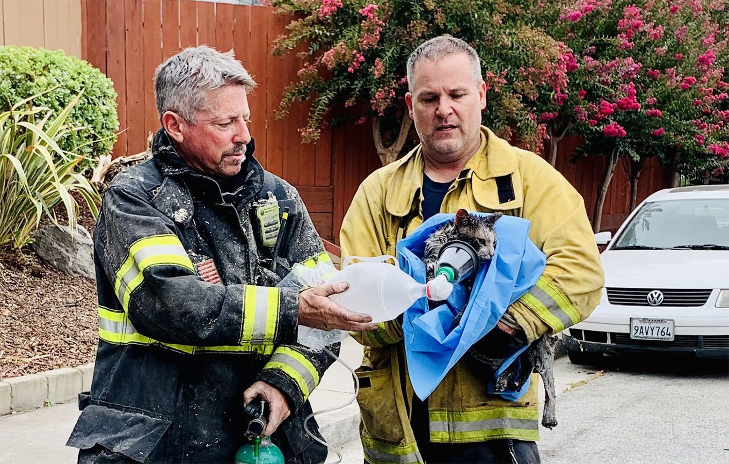 Family Cat Suffers Burns, But Survives House Fire In San Jose After Rescue