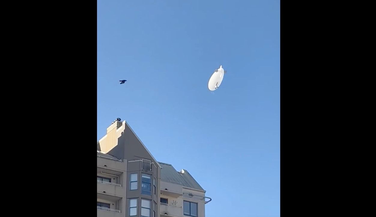 What Was That Giant White Blimp That Was Just Hauling Ass Across San ...