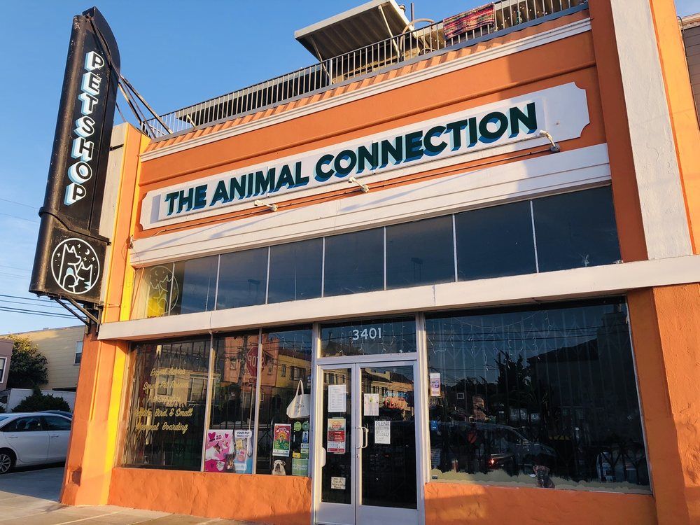 Lurie’s New Supervisor Appointee Faces Bizarre Scandal Over Filthy ...